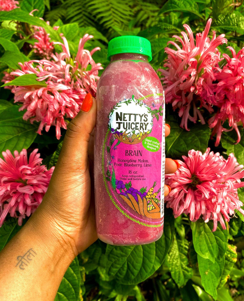 Juicing Plan - (Silver) – nettysjuicery